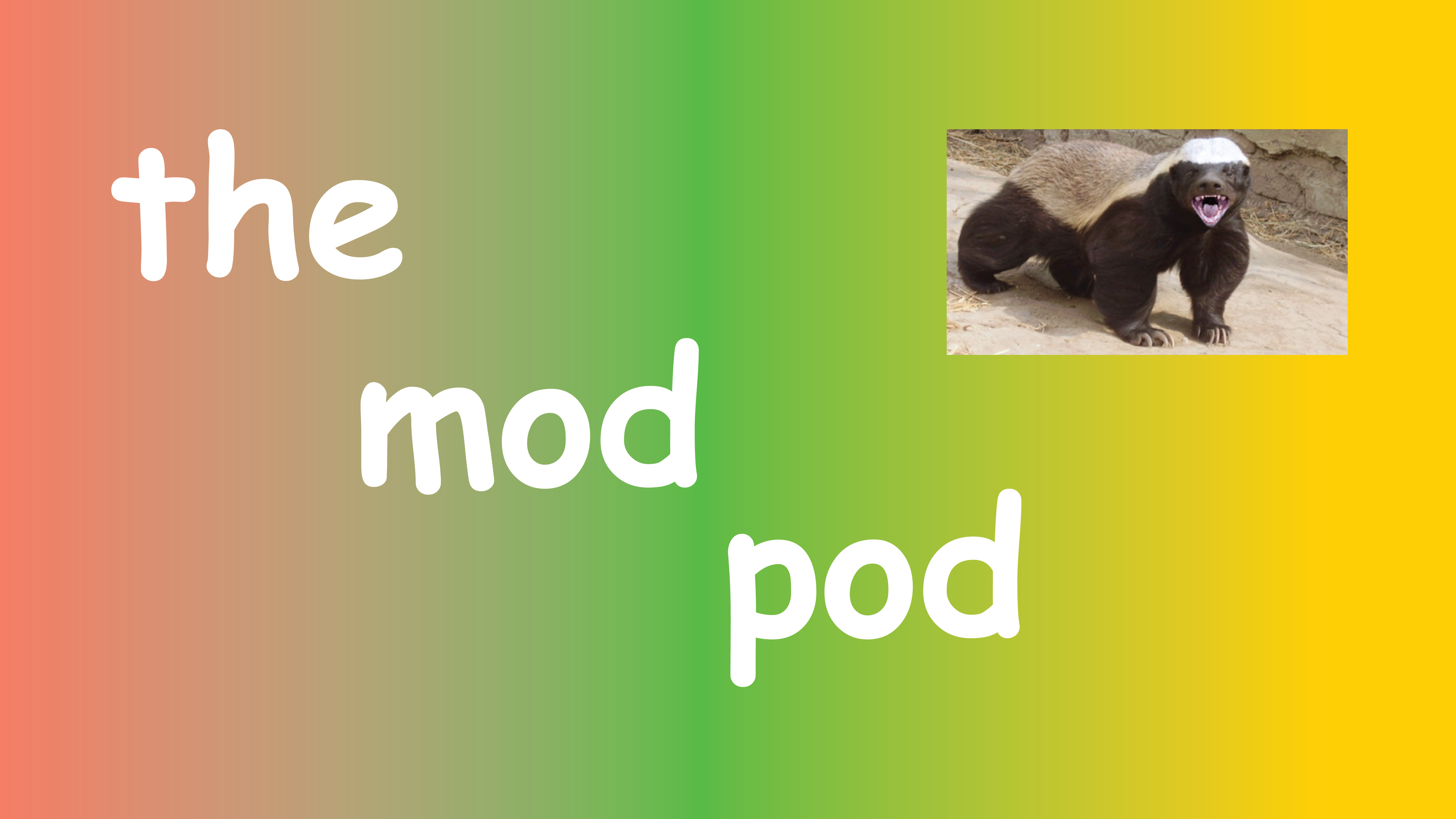 Introducing the Mod Pod: Behind the Scenes with Modish - Modish Creative Co.